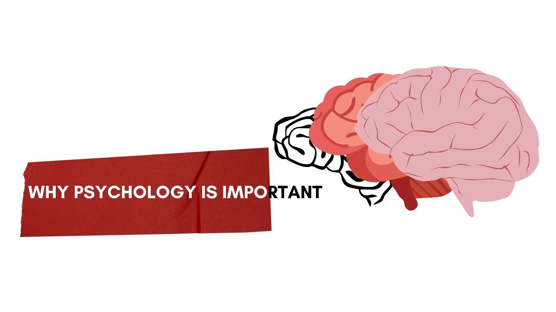 Why Psychology is Important - Psychologus